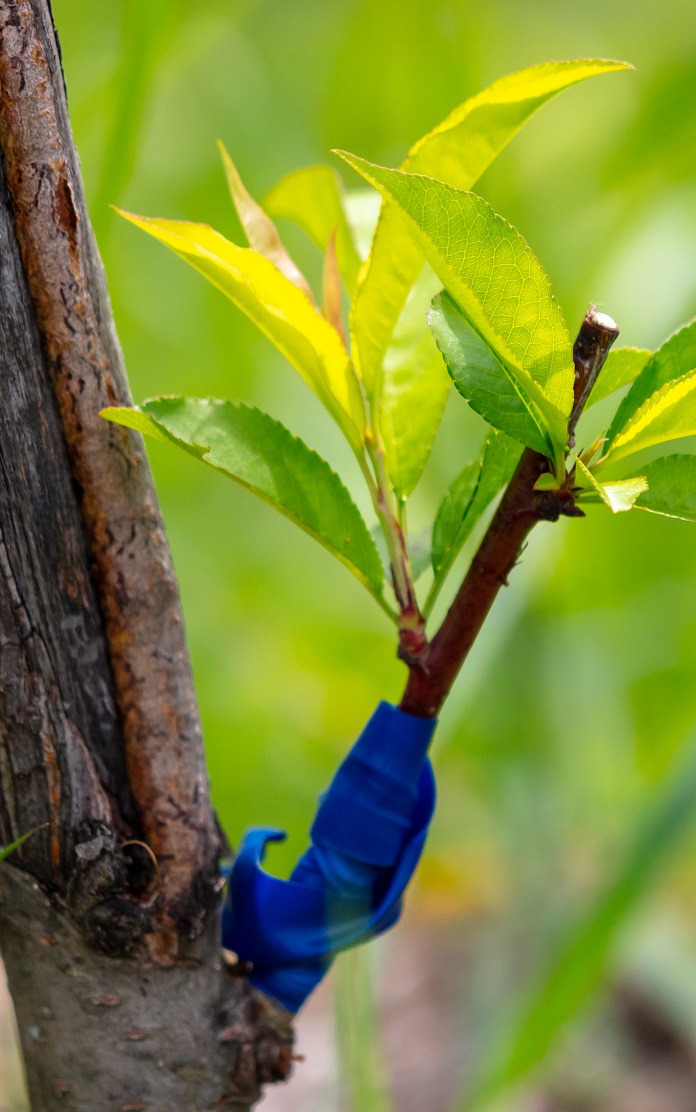 PRODUCT CATEGORIES | Fulflex